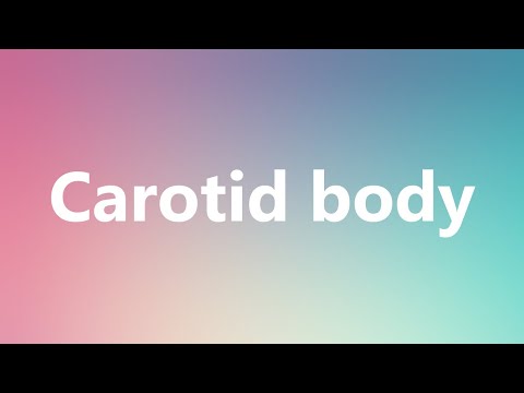 Carotid body - Medical Meaning and Pronunciation