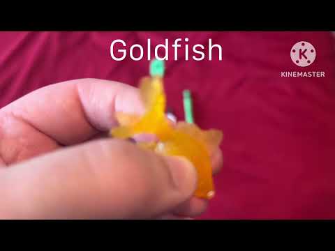 Words That Start With G Toys