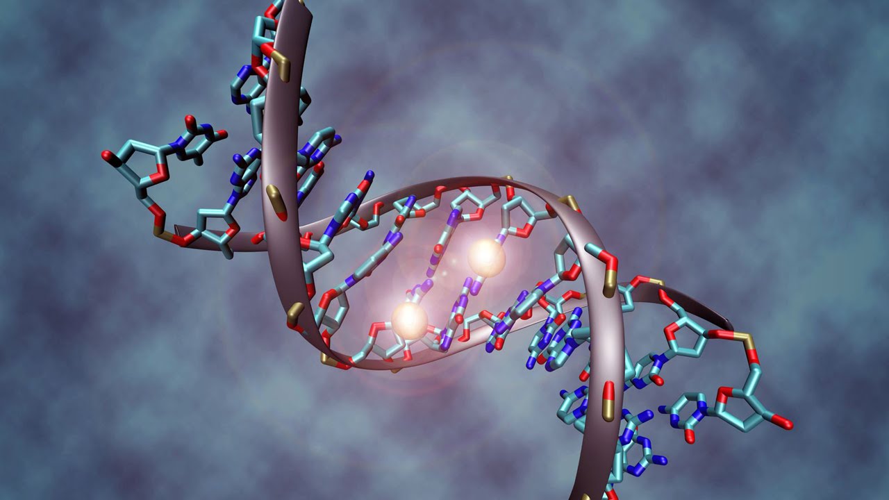 25 Facts You Might Not Know About DNA