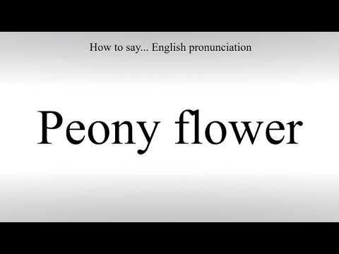 How To Pronounce Peony flower - How To Say: American pronunciation