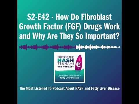 S2-E42 - How Do Fibroblast Growth Factor (FGF) Drugs Work and Why Are They So Important?