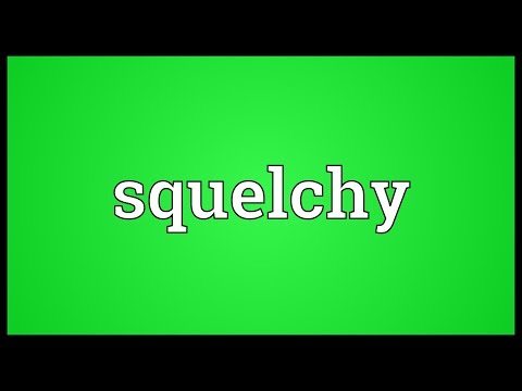 Squelchy Meaning