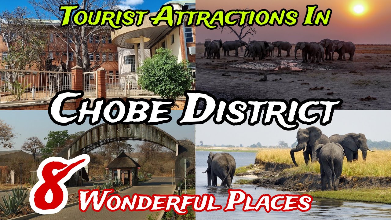 Top 8 Best Places to Visit in Chobe District 😍 | Botswana 🇧🇼