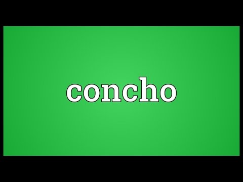 Concho Meaning