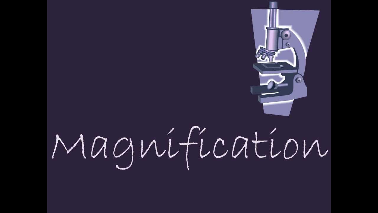 Microscopy P1 Resolution and Magnification