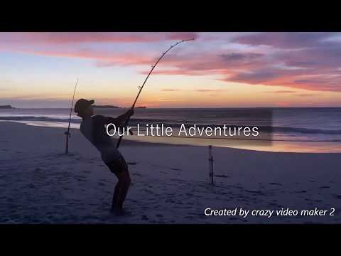 Massive Land Based Tiger Shark - Ep 01
