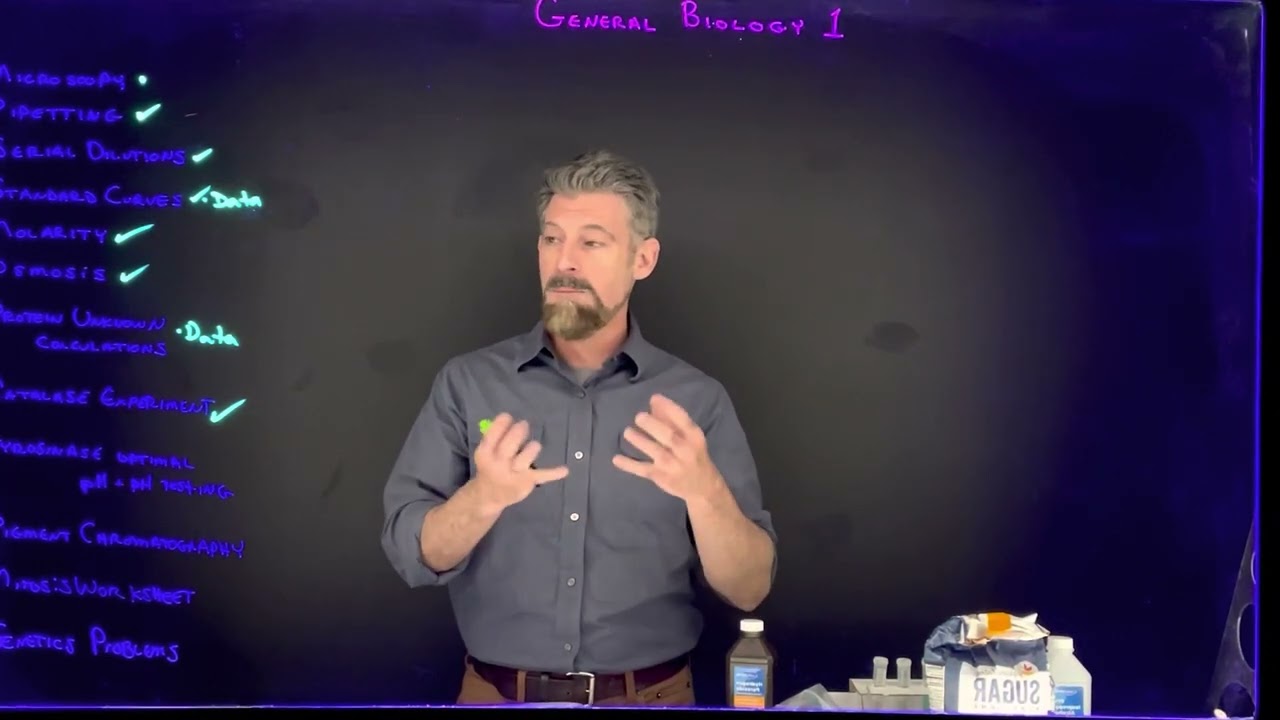 Lab Assignment Overview