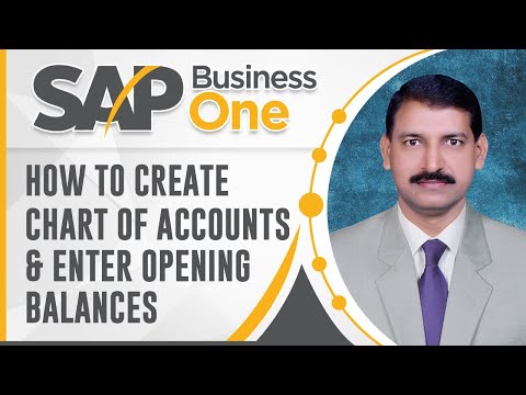 SAP Business One How to Create Chart of Accounts and Enter Opening Balances in Urdu/Hindi
