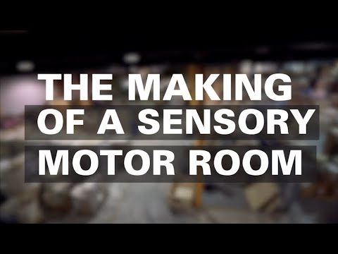 Sensory Motor Room