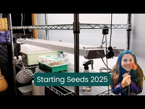 Starting seeds to save money! // How's It Growing?