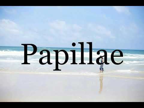 How To Pronounce Papillae🌈🌈🌈🌈🌈🌈Pronunciation Of Papillae
