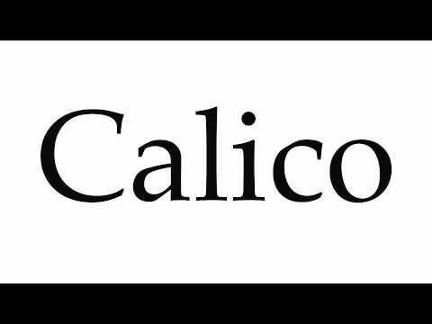 How to Pronounce Calico