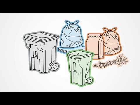 Waste Services | Your Collection Schedule