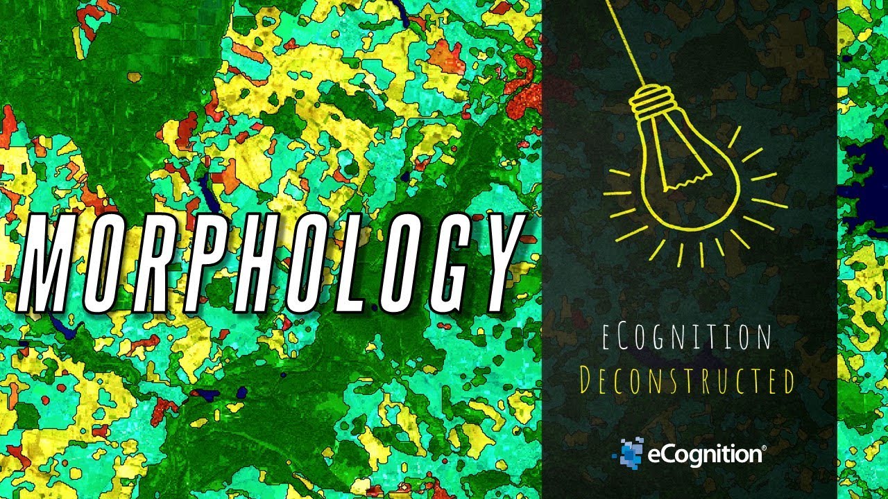 eCognition Deconstructed: Morphology