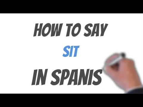How To Say Sit In Spanish