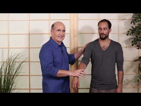 Kinesiology for Nutritionists Masterclass