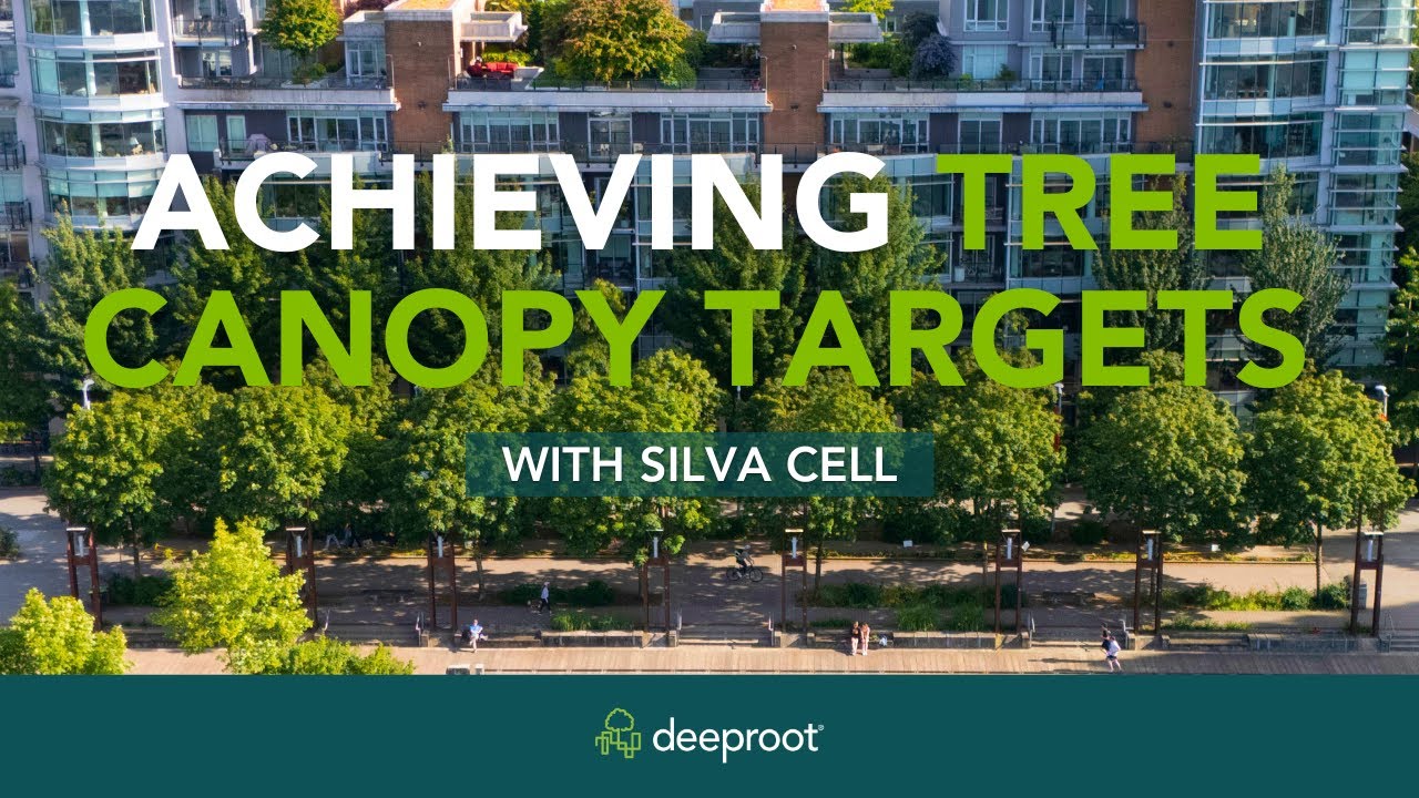 How Silva Cells are the Perfect Tool in Achieving Urban Tree Canopy Goals