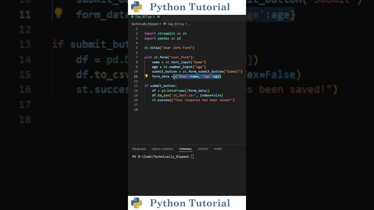 Create and Export a Streamlit Form to CSV | Python Tutorial