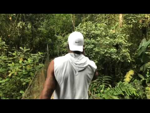 BEST FOREX TRADING ACADEMY "iProfit FX Academy" Digital Nomad Lifestyle in COSTA RICA