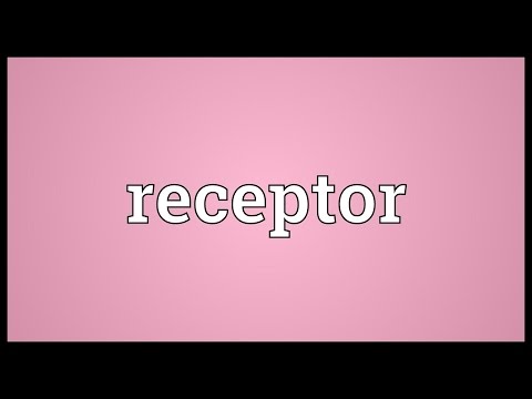 Receptor Meaning