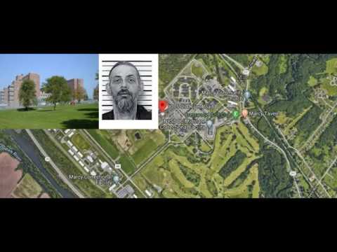 From Psychiatric Prison to Violent Unsafe Amsterdam New York