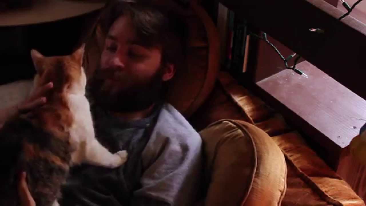 CAT FROM HELL Official trailer #1