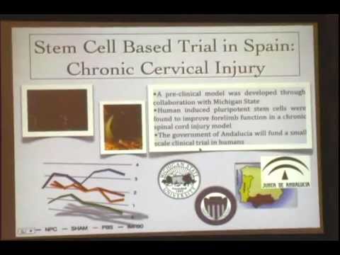 Philip Horner, PhD at the 2012 Spinal Cord Workshop