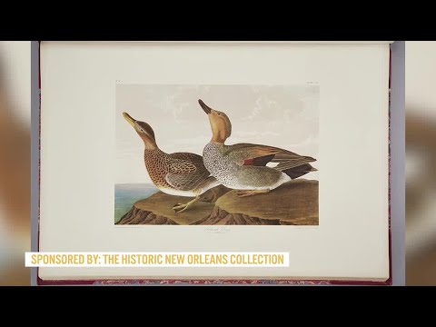 The Historic New Orleans Collection