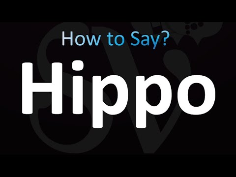 How to Pronounce Hippo (correctly!)