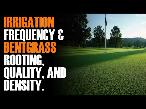 Irrigation Frequency on Bentgrass Rooting