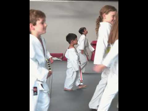 Kids and Adult Karate classes at Practical Karate
