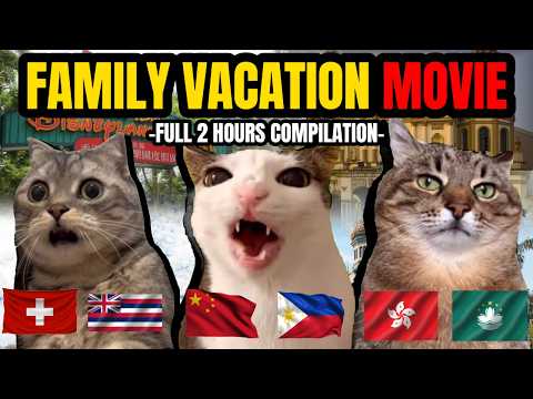 CAT MEMES: A FAMILY VACATION FULL 2 HOUR COMPILATION
