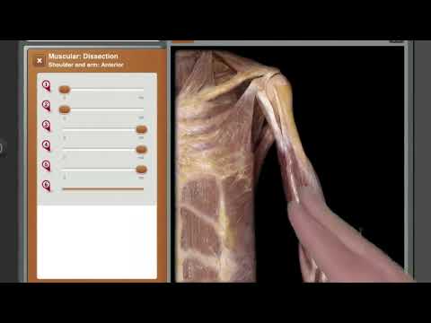 Anatomy & Physiology App - Dissection Tool for Human Anatomy