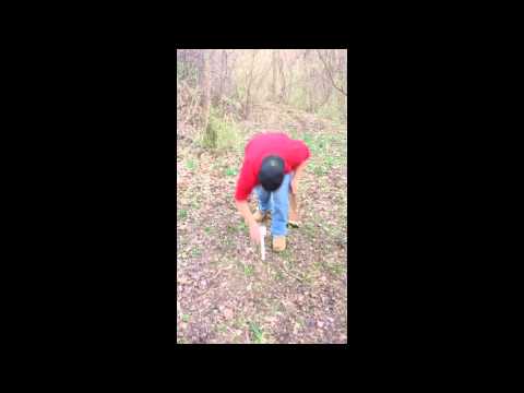 CheapShot Targets! Inexpensive target solution!