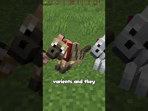 MINECRAFT ADDED NEW WOLVES!! #shorts