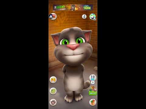 Talking Tom Cat Cartoon Live Stream #live
