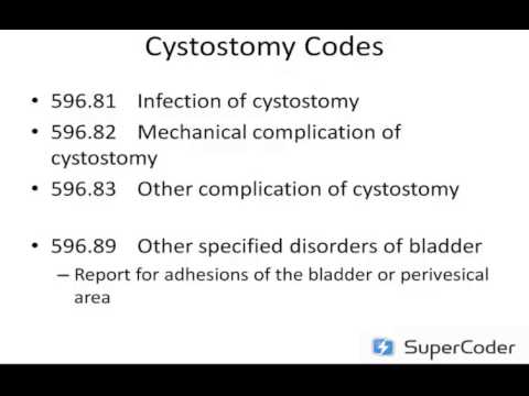 Ob-Gyn coding conferences 2012