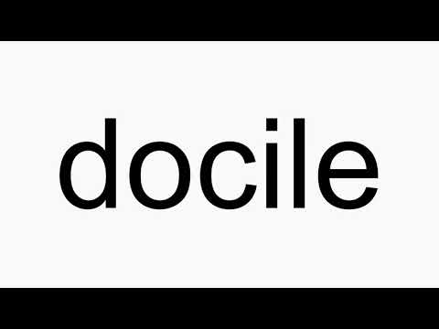 How to pronounce docile