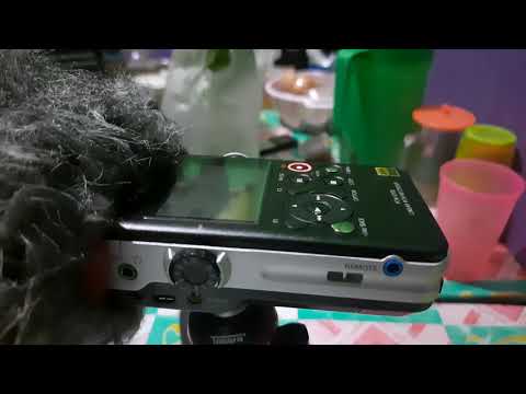 Sony PCM-D100 Field Recorder Indoor Street Food Test 24bit 96kHz