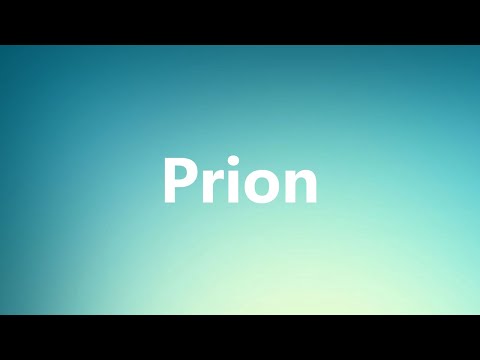 Prion - Medical Meaning and Pronunciation