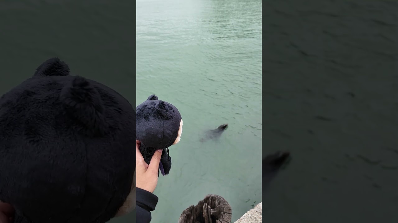 POV: Mona knows the best spots at GitHub Universe