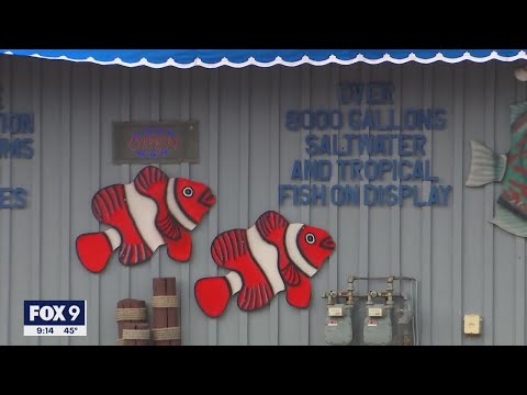A World of Fish: Richfield tropical fish store owners ready for retirement | FOX 9 KMSP