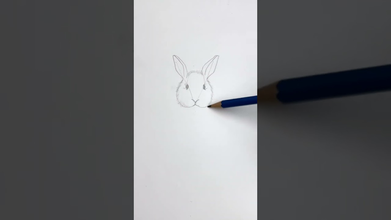 Draw a Bunny 🐰  | 60-Second Art Class! #shorts #art #drawingtutorial