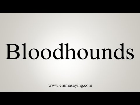 How To Say Bloodhounds