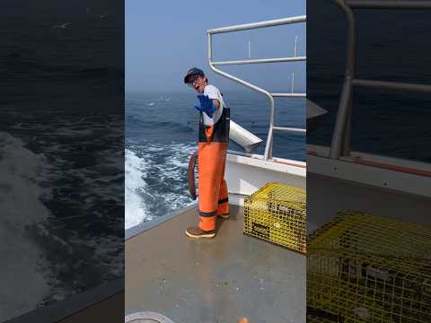There’s no privacy on a Maine lobster boat #maine #lobster #fishing #ocean #fish #shortsvideo
