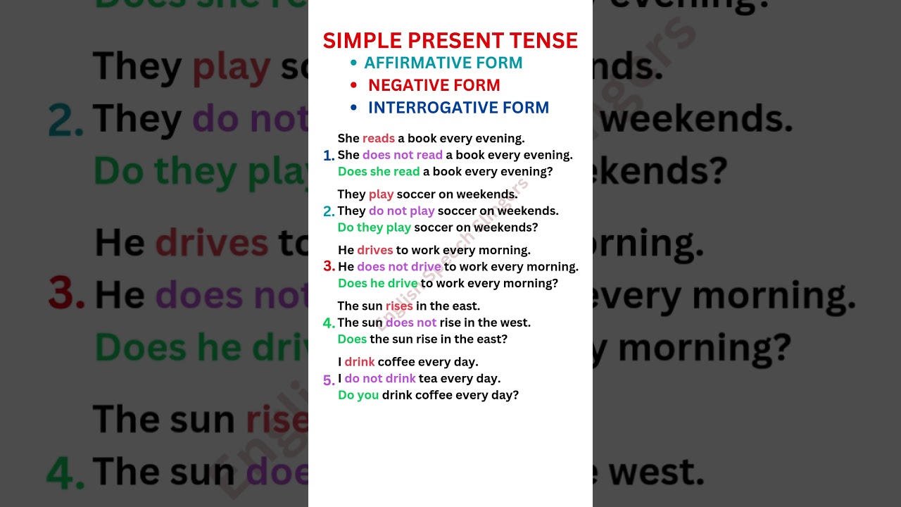 Simple Present Tense | Positive, Negative, Question Forms | Present Tense | Tenses