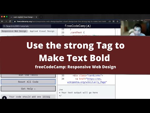 Use the strong Tag to Make Text Bold (Applied Visual Design) freeCodeCamp tutorial