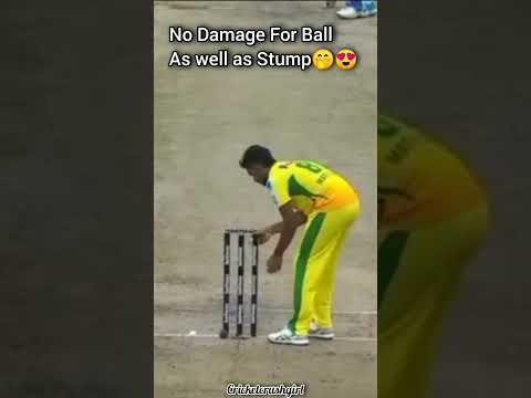 His care on Ball and Stump😂😍Matheesha Pathirana😘💖 #Cricketcrushgirl #Shorts #Match #JSK #Love #Crush