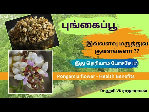 Pongamia flowers medicinal uses | Tamil | Dr Hari Venk Raj – Arudra ...