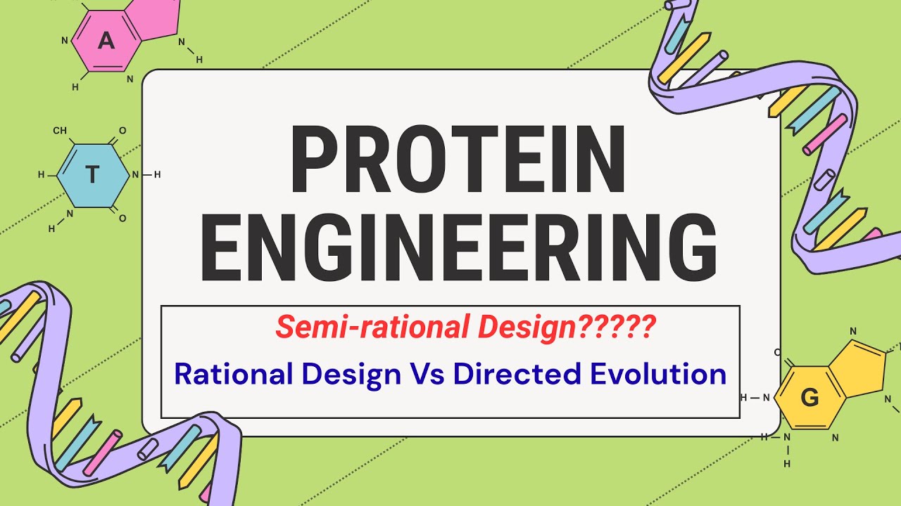 What is Protein Engineering in Biotechnology: Methods, Rational Design & Semi-Rational Strategies